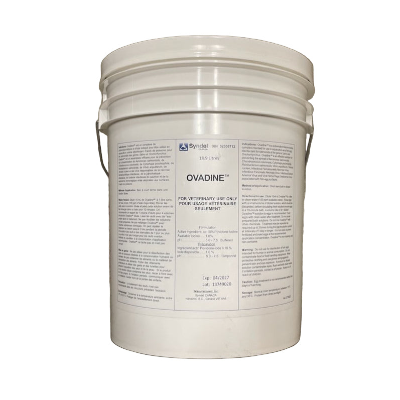 Ovadine Disinfectant, 5 Gallon Pail – Dynamic Aqua-Supply