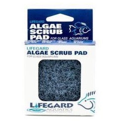 Algae Scrubbing Pad 3" x 3", Blue (Coarse) – Dynamic Aqua-Supply