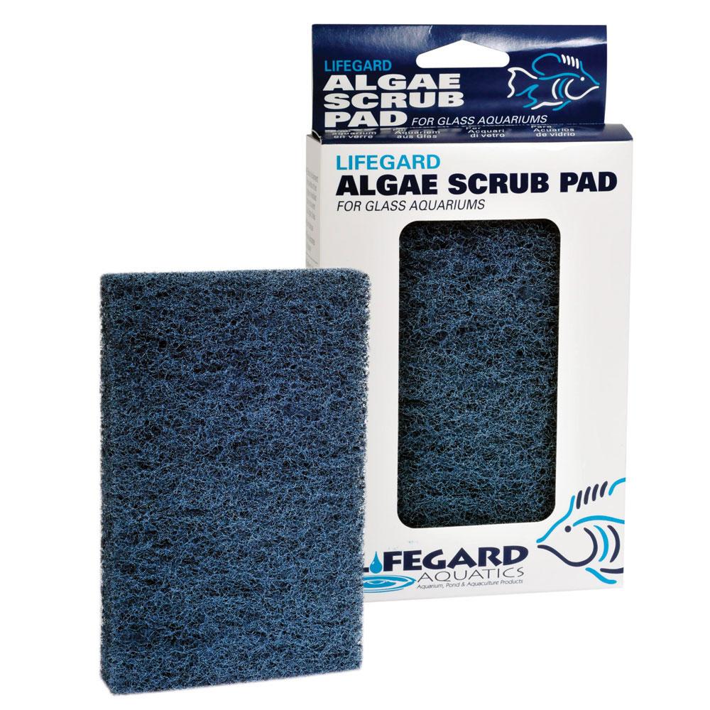 Algae Scrubbing Pad 4" x 6", Blue (Coarse) – Dynamic Aqua-Supply