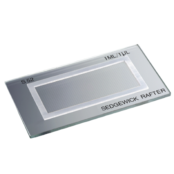 Sedgewick Rafter Counting Chamber, Glass with Grid – Dynamic Aqua-Supply